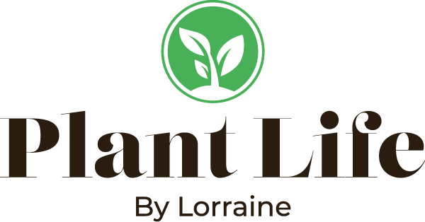 Plant Life – by lorraine